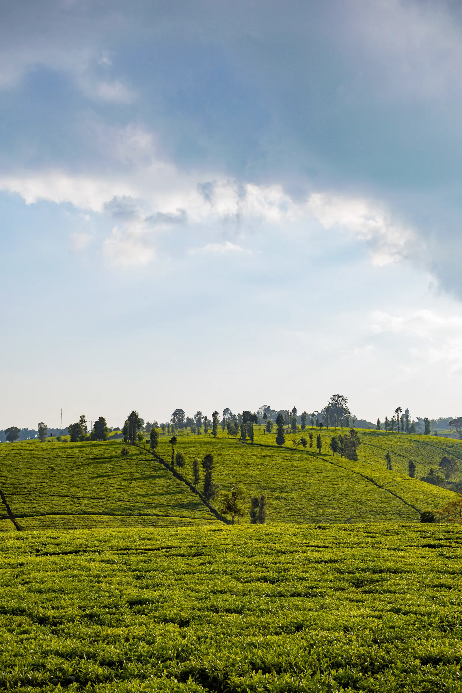 Retna | Discover Africa Through Retna