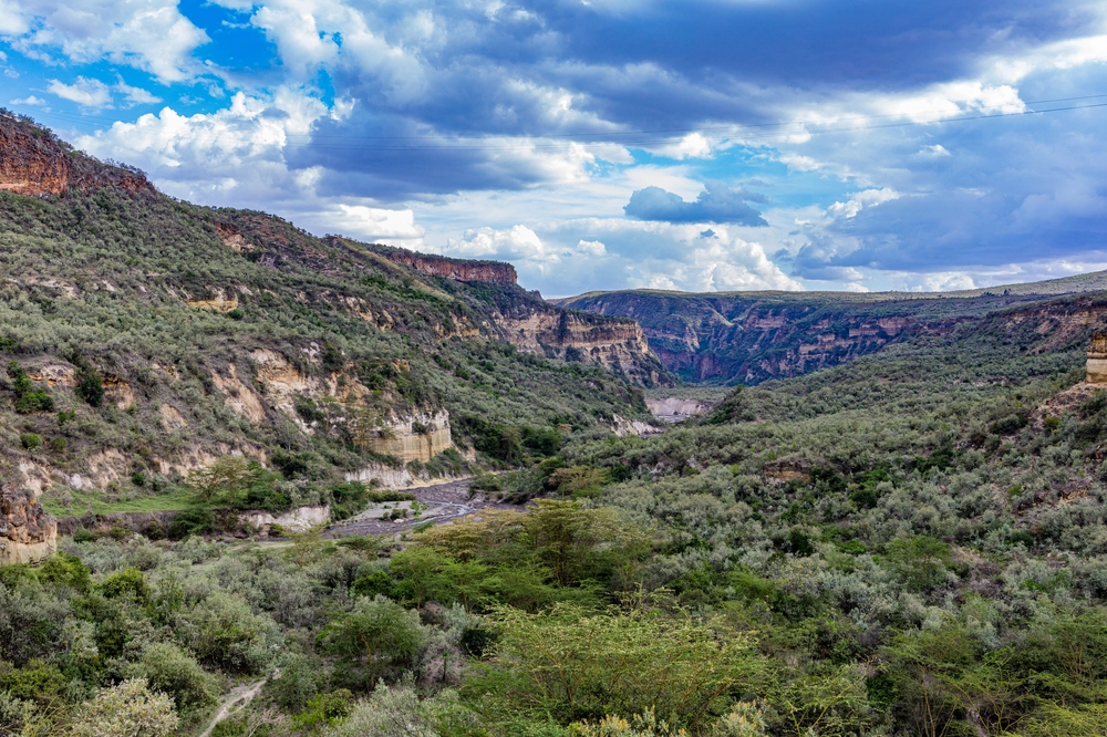 Photo by @AntonyT on Retna