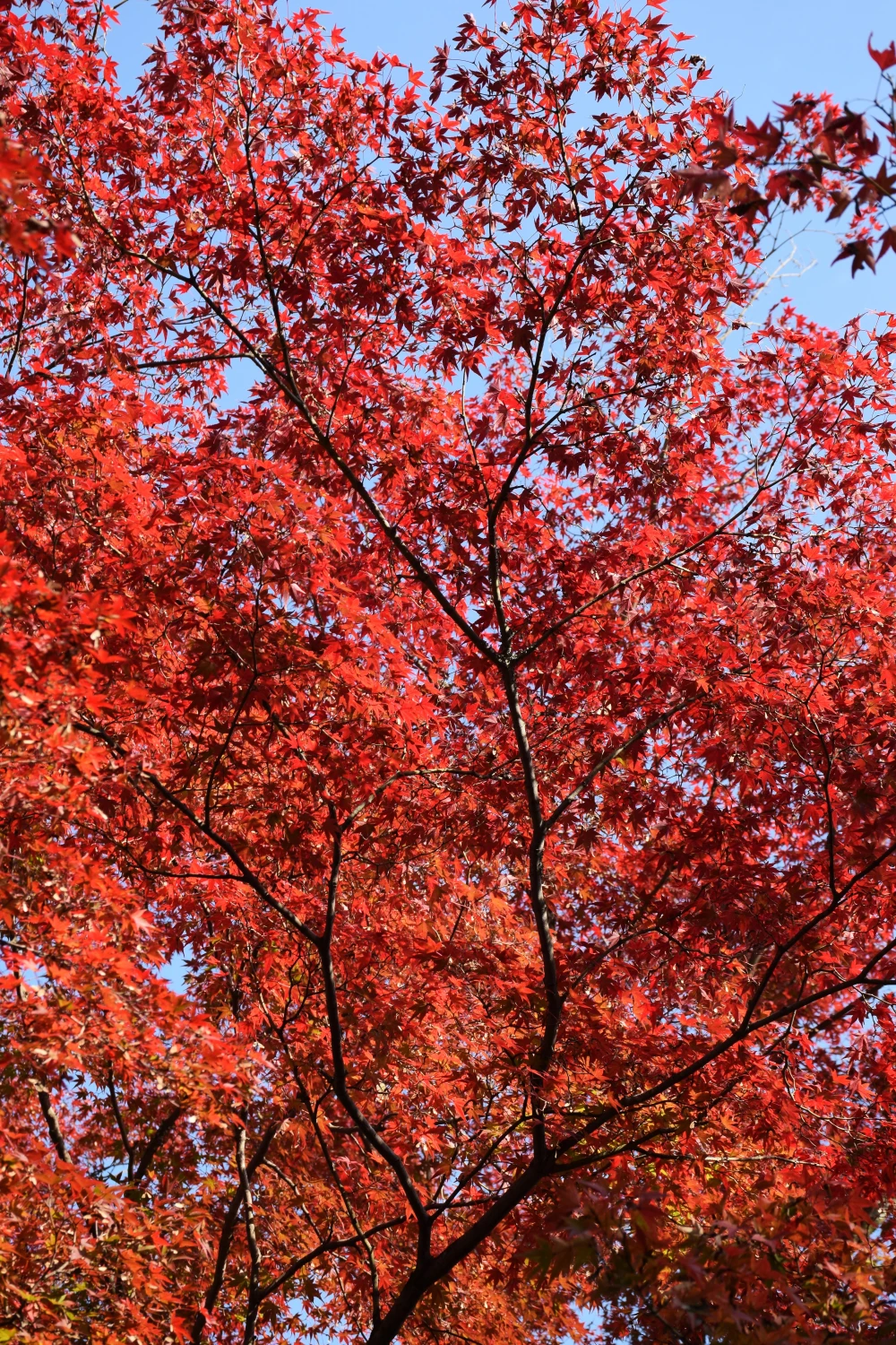 Photo by @YoelW on Retna