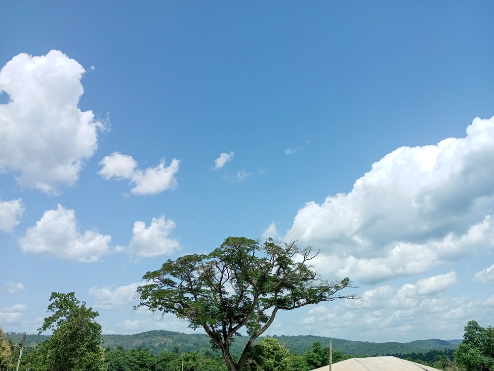 Photo by @mima_visuals on Retna