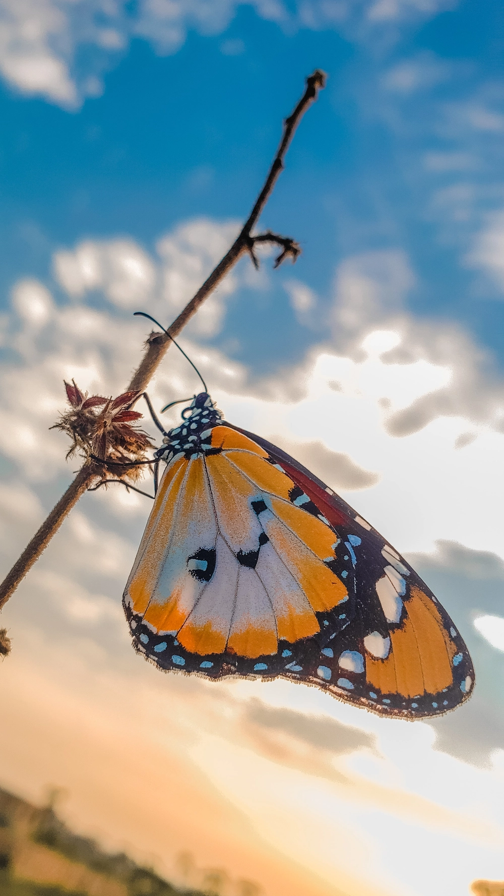 Photo by @The_Wallpaper_Guy on Retna